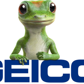 Perfil do Concurseiro: Mr. Geico | Qconcursos.com
